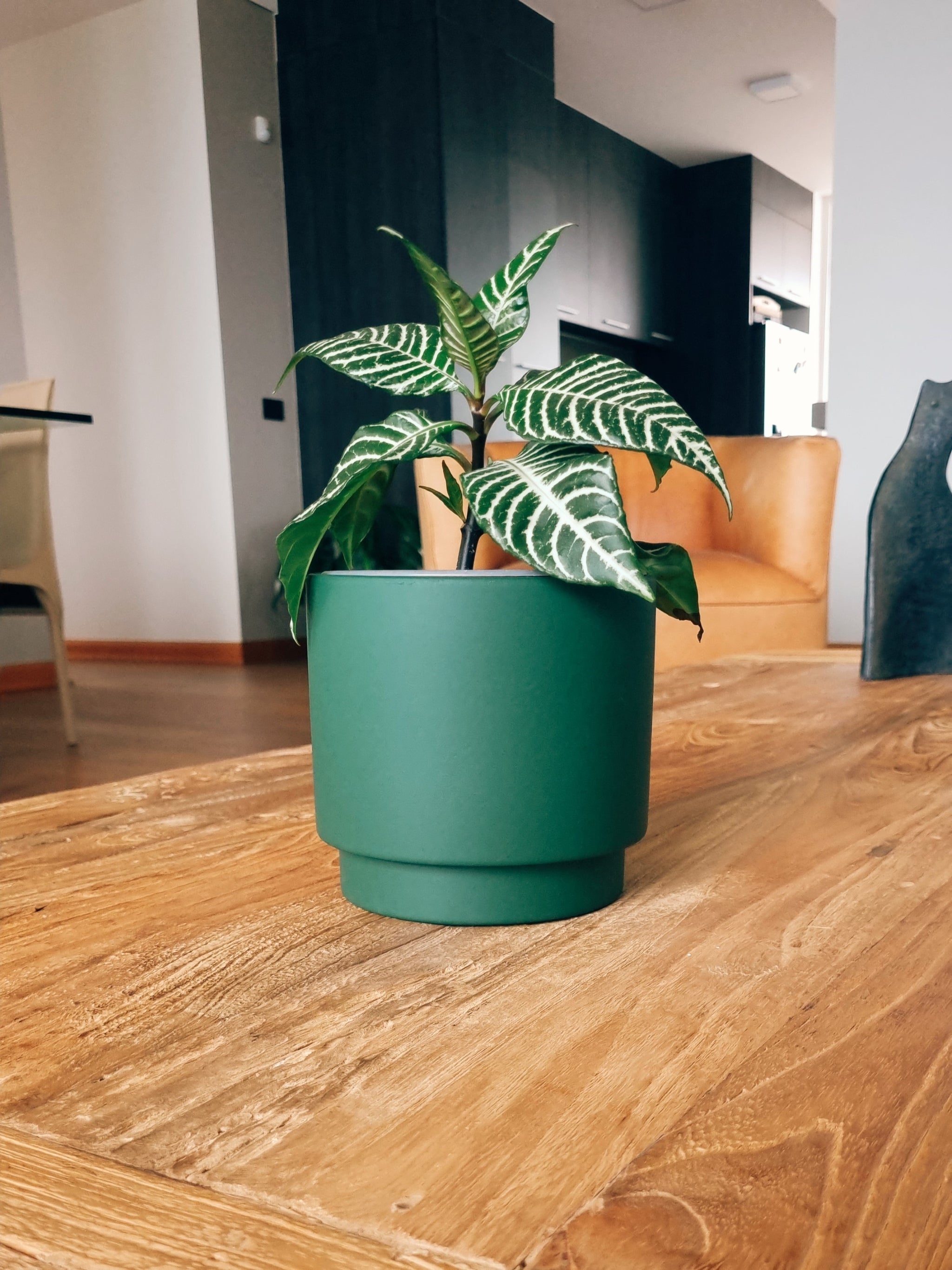 Maceteros Chicos (S) – Garden Room